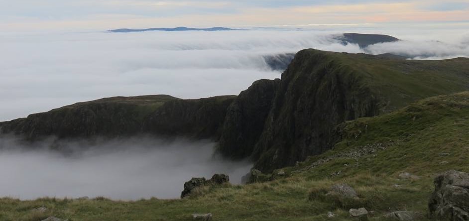 Curriculum Vitae | Kelly Grenier