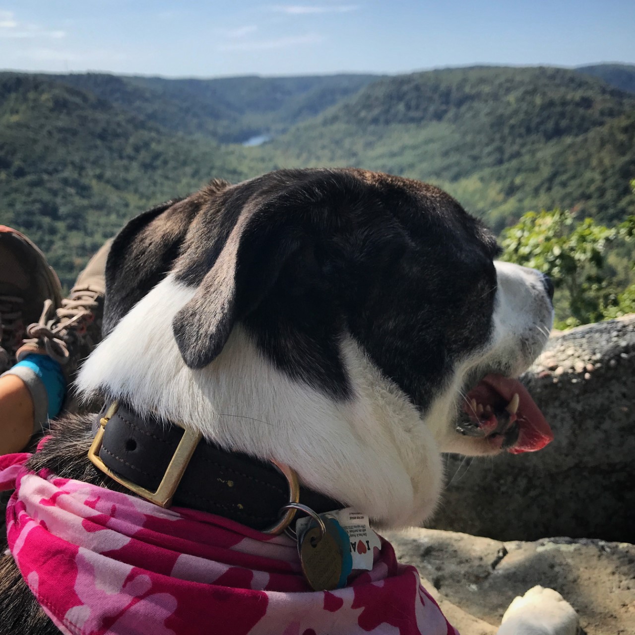 About Me | Kelly Grenier